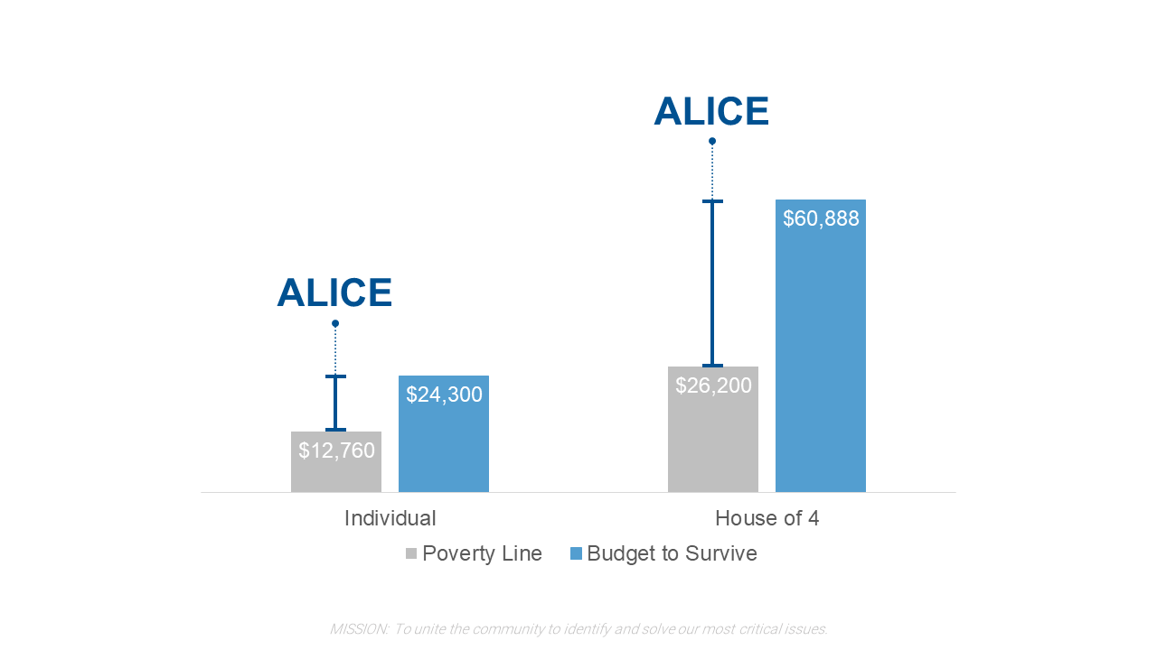 ALICE: Asset Limited, Income Constrained, Employed
